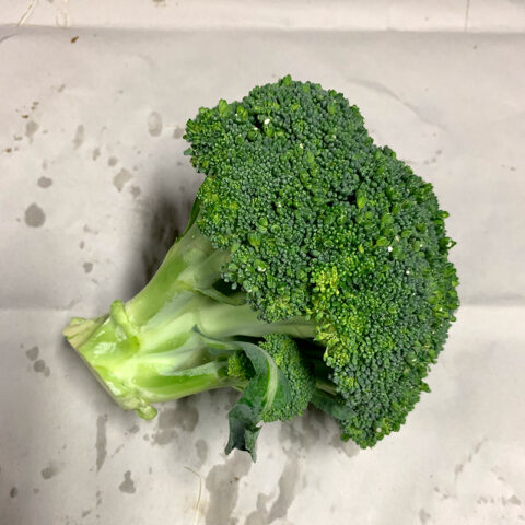 Broccoli – Brian's Best Organics