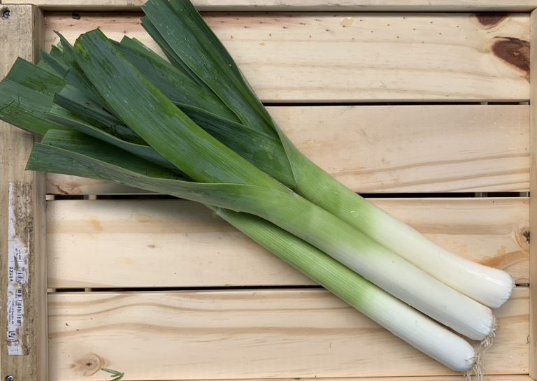 Leek – Brian's Best Organics