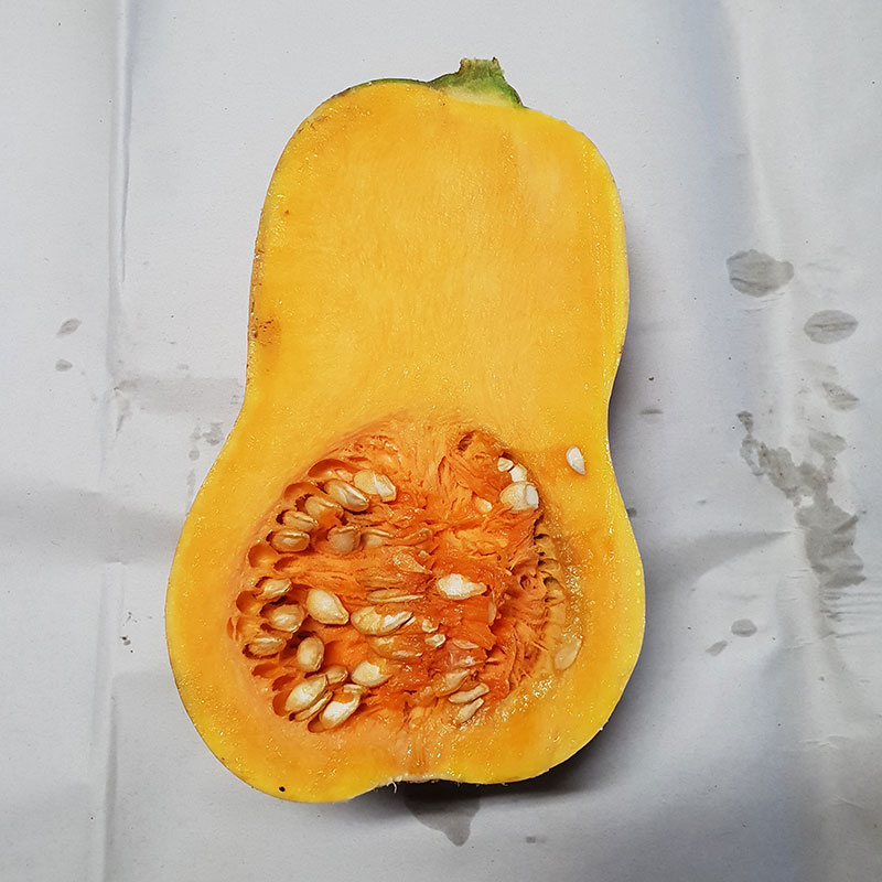 Butternut Pumpkin – Brian's Best Organics