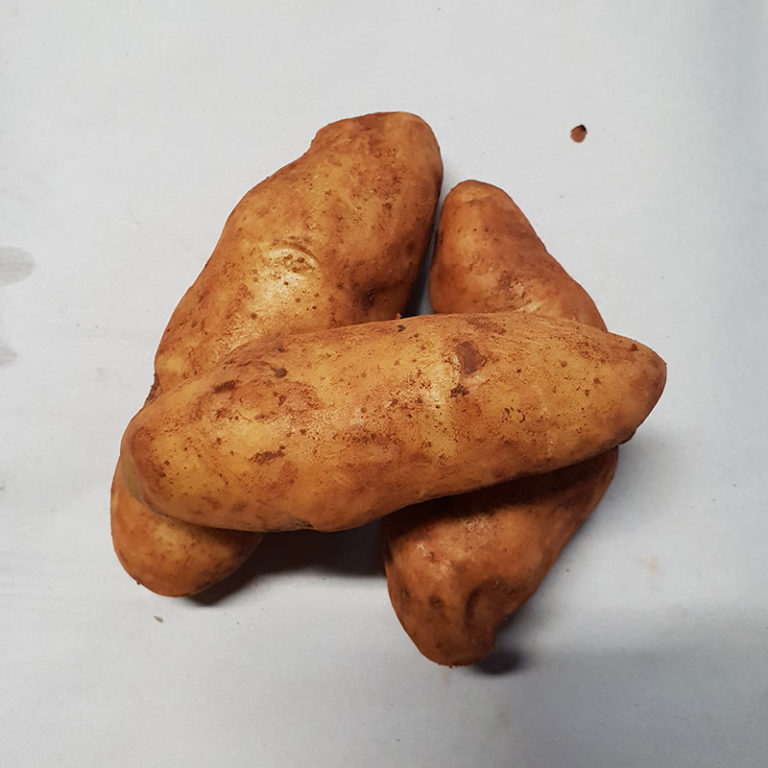 Ginger – Brian's Best Organics