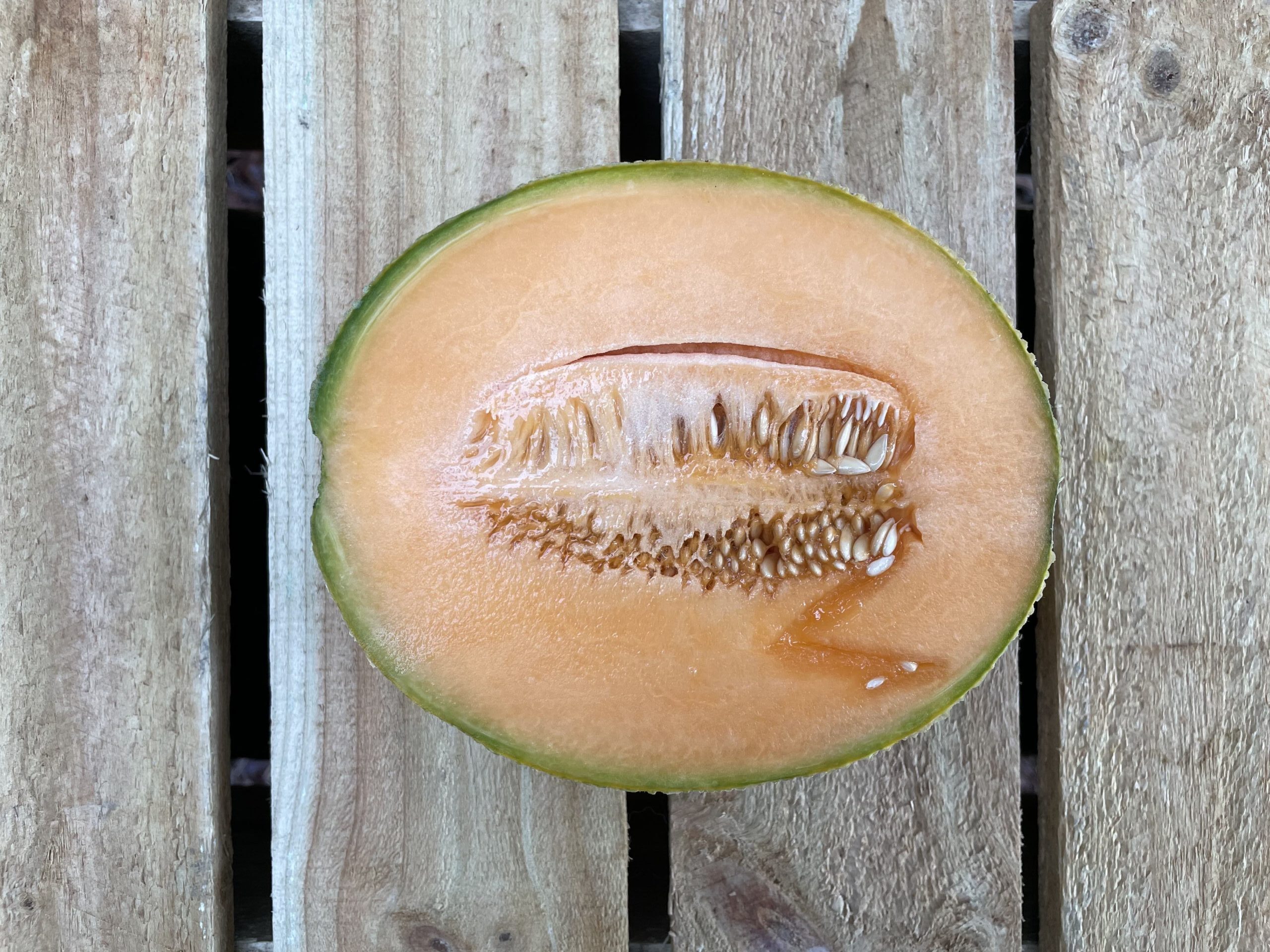 Rockmelon – Brian's Best Organics