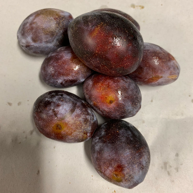 Sugar Plums – Brian's Best Organics