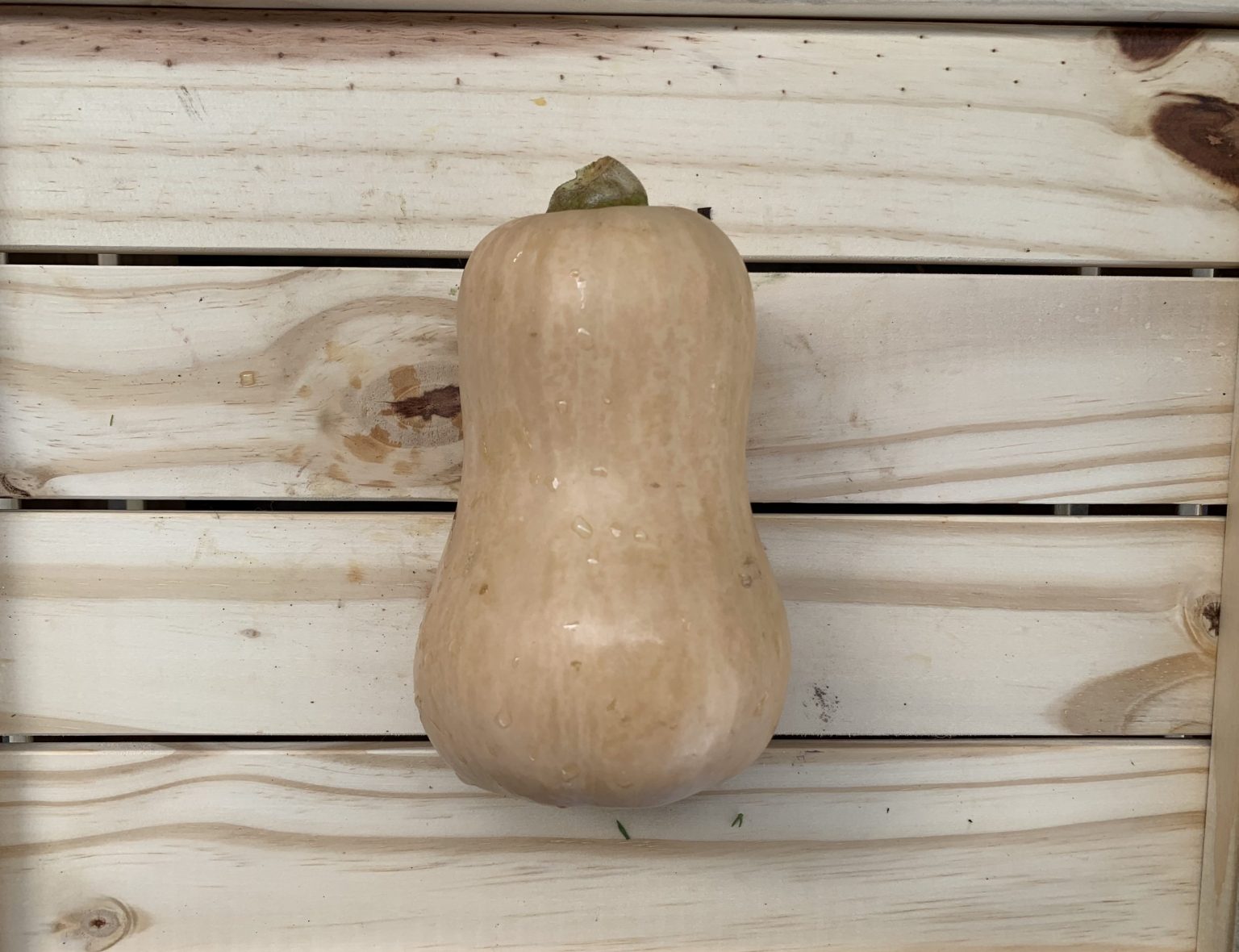 Butternut Pumpkin – Brian's Best Organics