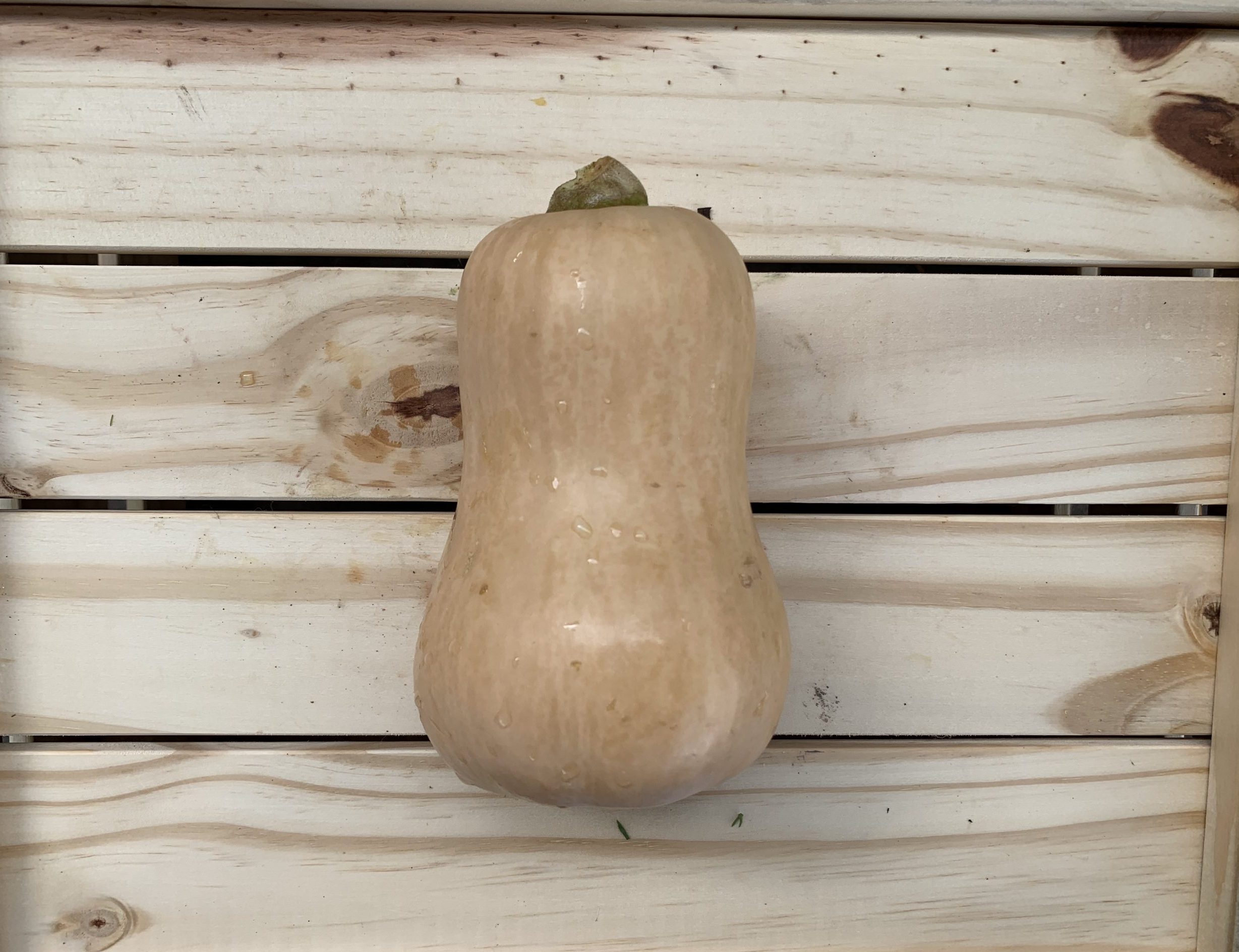 Butternut Pumpkin – Brian's Best Organics