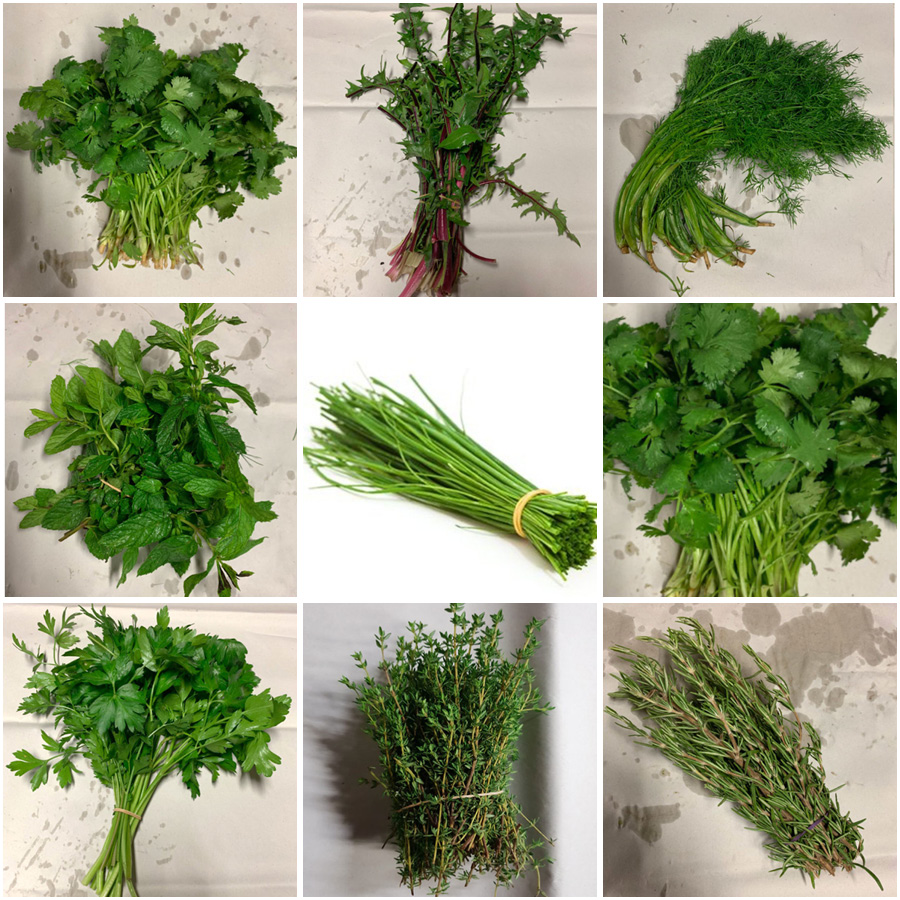 Organic Produce – Brian's Best Organics